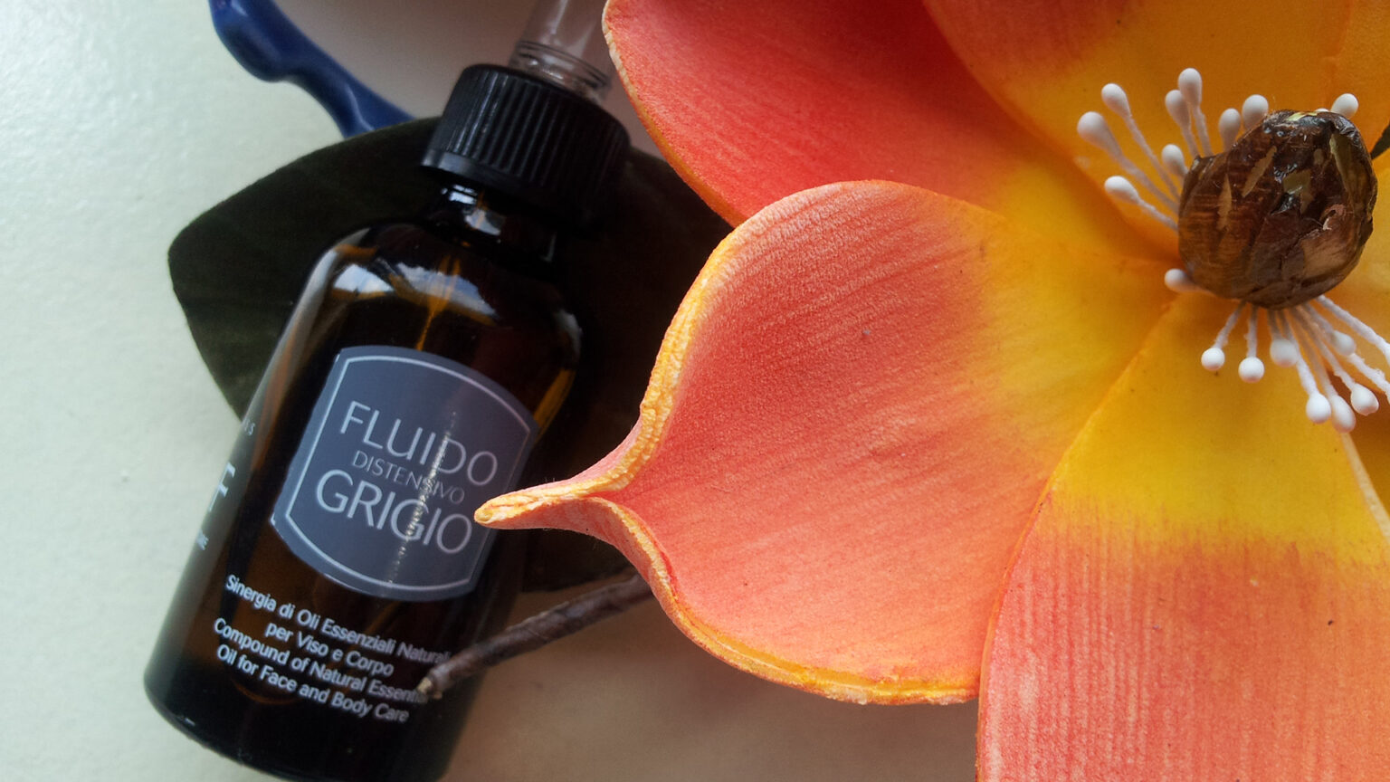 SOUL THERAPY - HOLOS THERAPY