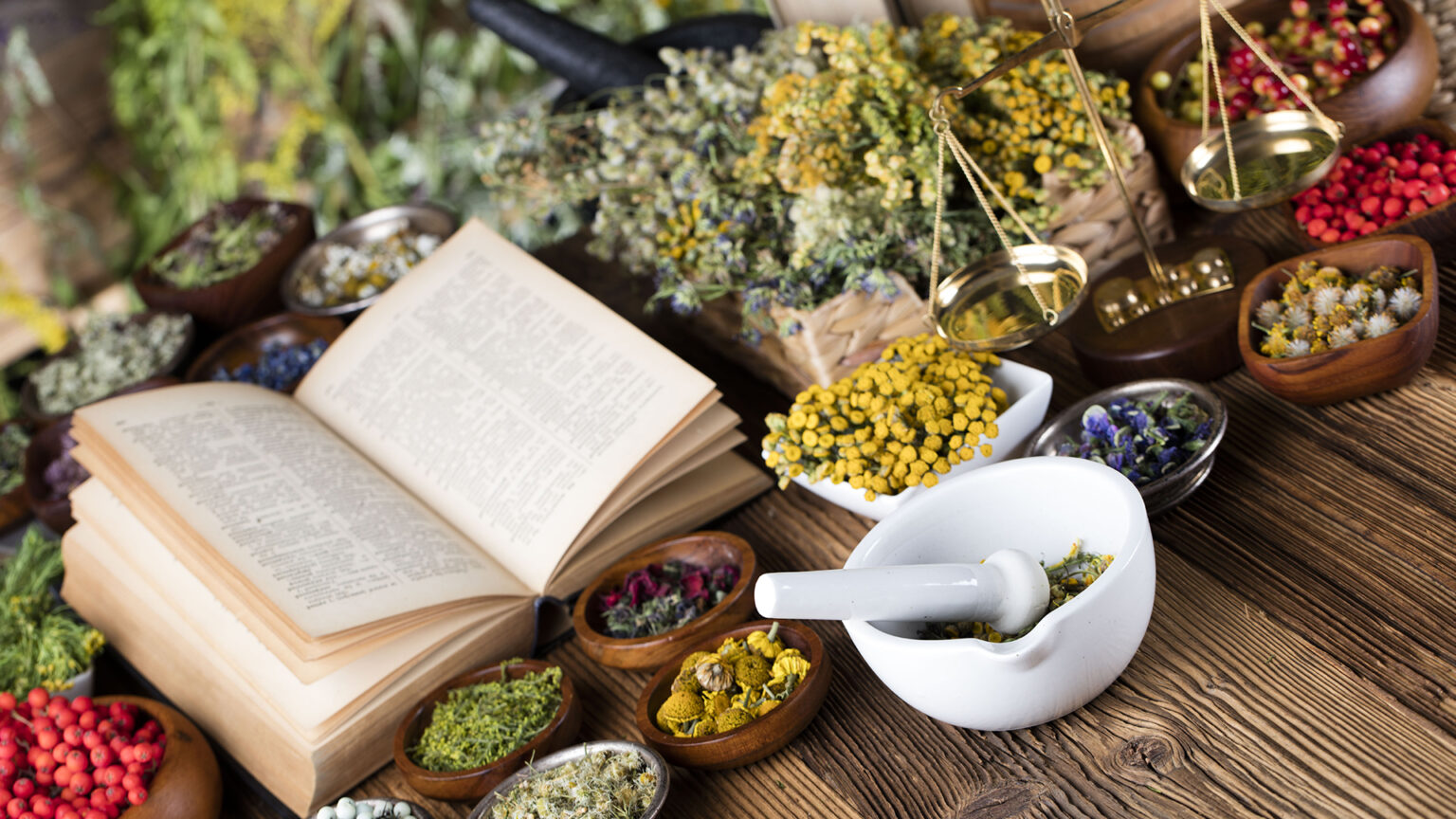 교육문의 - HOLOS THERAPY